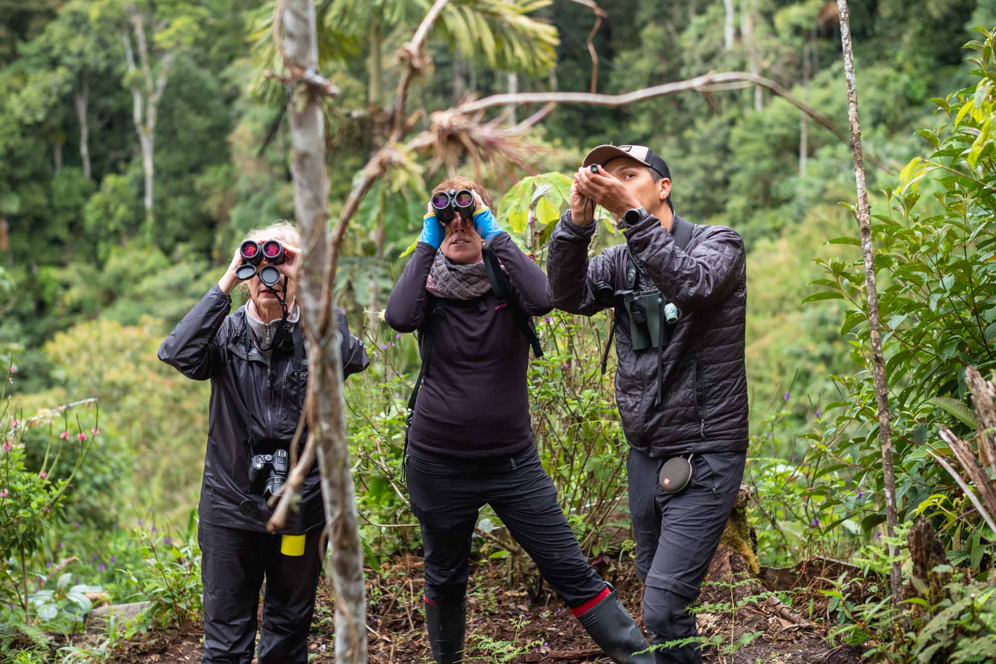 About Nighthawk – Nighthawk Agency